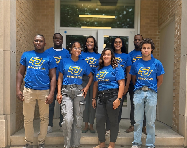 Southern University System